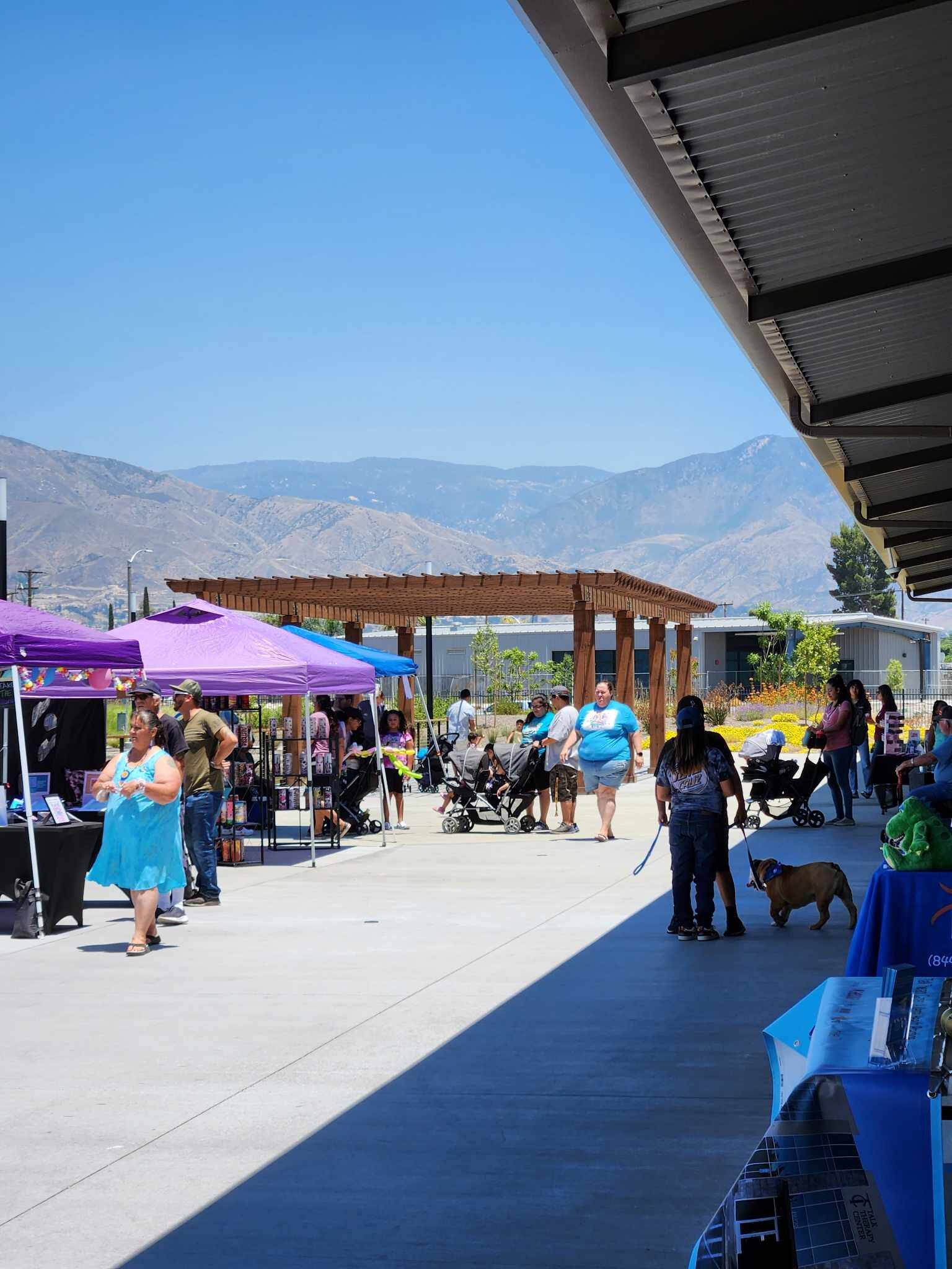 The 951 Market | The 951 Market